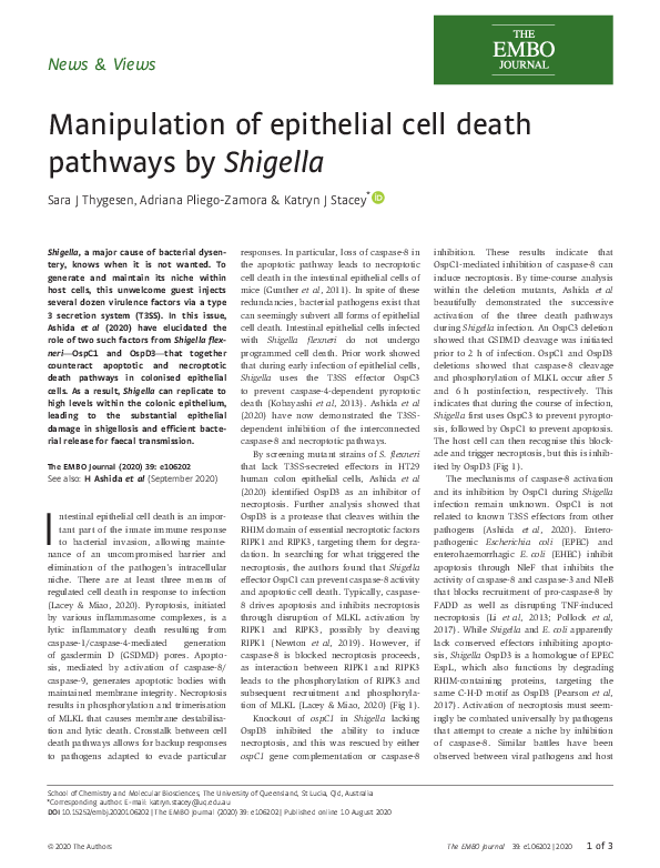(PDF) Manipulation of epithelial cell death pathways by Shigella
