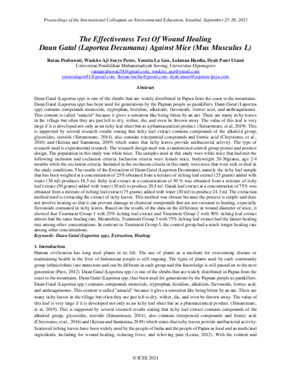 (PDF) The Effectiveness Test Of Wound Healing Daun Gatal (Laportea ...