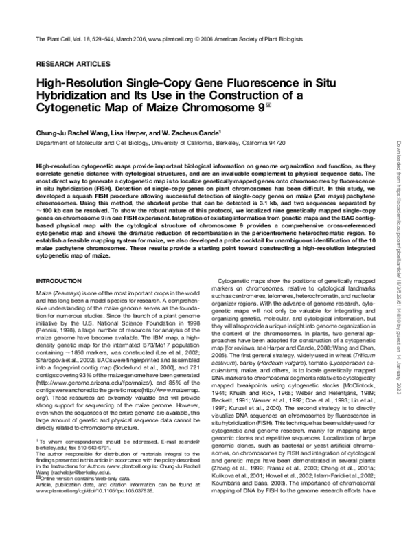 (PDF) High-Resolution Single-Copy Gene Fluorescence in Situ ...