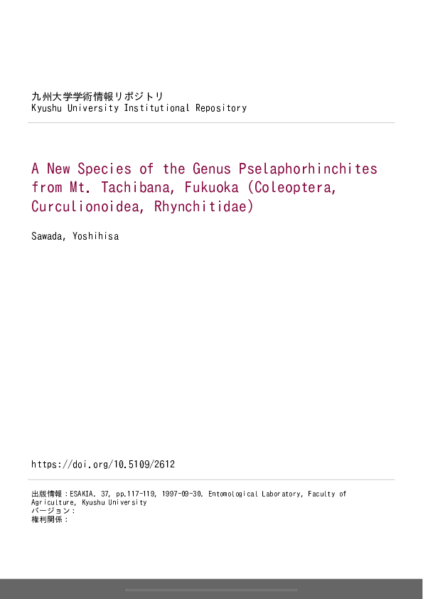 (PDF) A New Species of the Genus Pselaphorhinchites from Mt. Tachibana ...