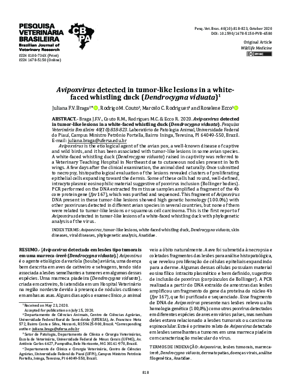 (PDF) Avipoxvirus detected in tumor-like lesions in a white-faced ...