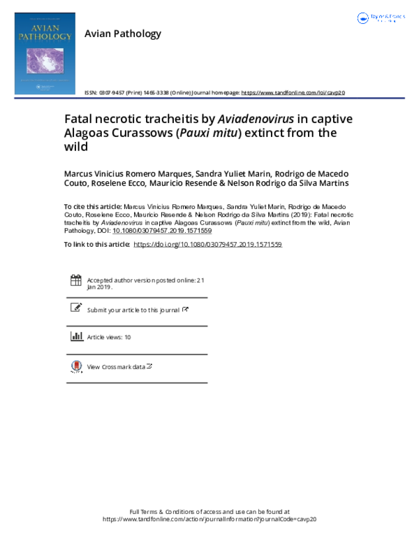 Fatal necrotic tracheitis by Aviadenovirus in captive Alagoas curassows ...