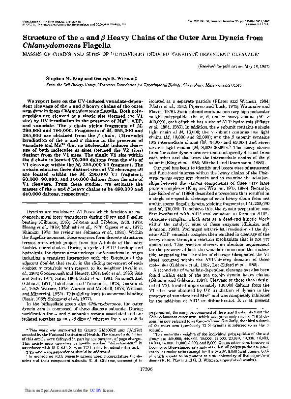 (PDF) Structure of the alpha and beta heavy chains of the outer arm ...