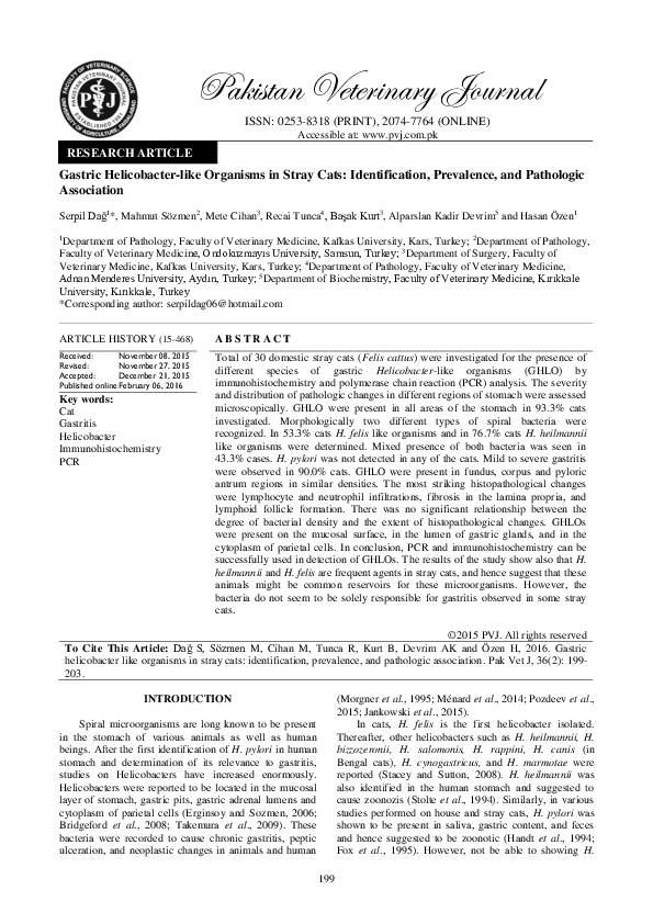 (PDF) Gastric Helicobacter-like organisms in stray cats: identification ...