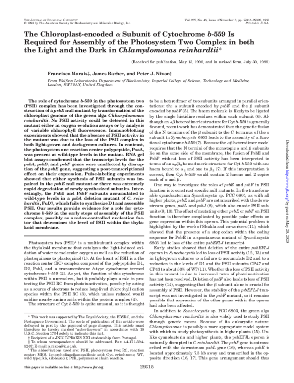 (PDF) The Chloroplast-encoded α Subunit of Cytochromeb-559 Is Required ...