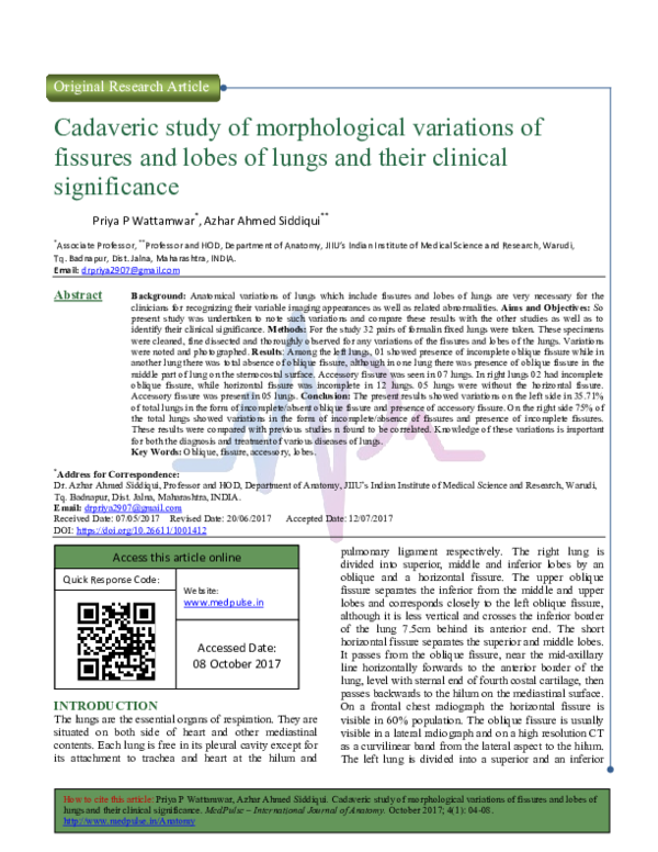 (PDF) Cadaveric study of morphological variations of fissures and lobes ...