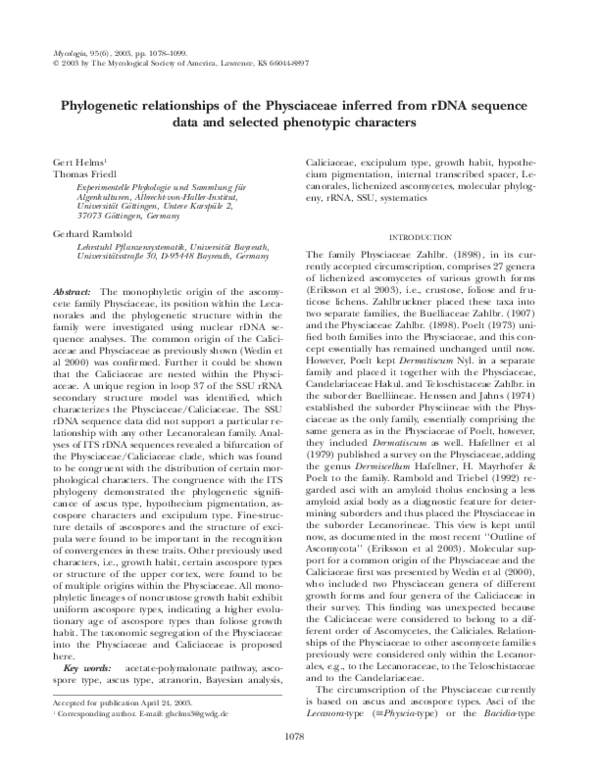 (PDF) Phylogenetic Relationships of the Physciaceae Inferred from rDNA Sequence Data and ...