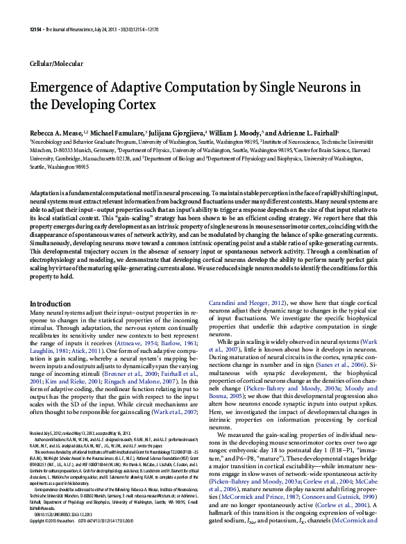 (PDF) Emergence of Adaptive Computation by Single Neurons in the Developing Cortex
