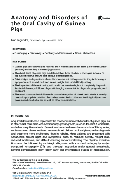 (PDF) Anatomy and Disorders of the Oral Cavity of Guinea Pigs