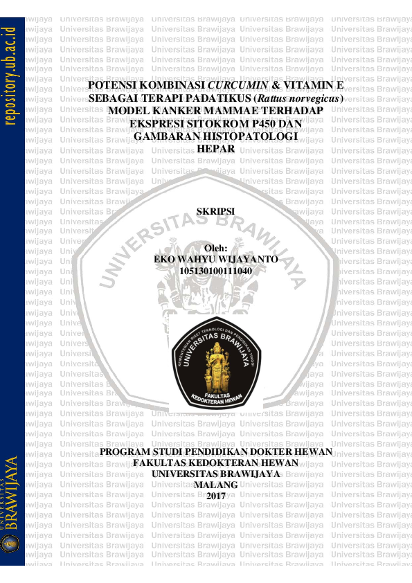 (PDF) Potensi Kombinasi Curcumin & Vitamin E Sebagai Terapi Padatikus ...