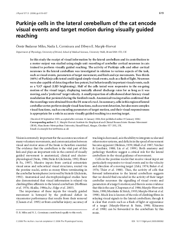 (PDF) Purkinje cells in the lateral cerebellum of the cat encode visual ...