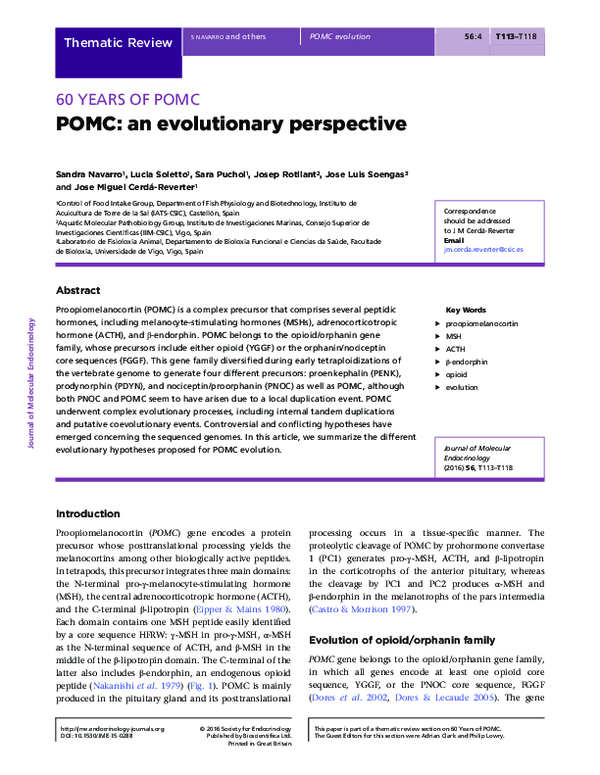 (PDF) 60 YEARS OF POMC: POMC: an evolutionary perspective