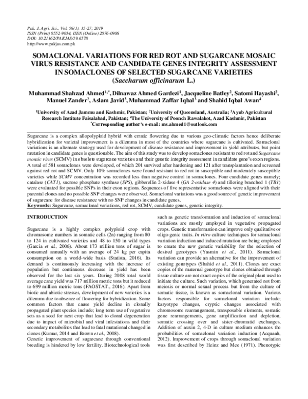 (PDF) Somaclonal variations for red rot and sugarcane mosaic virus ...