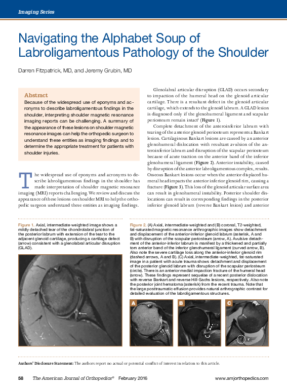 (PDF) Navigating the Alphabet Soup of Labroligamentous Pathology of the ...