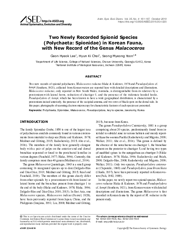 (PDF) Malacoceros longiseta, a new species of Spionidae (Annelida ...