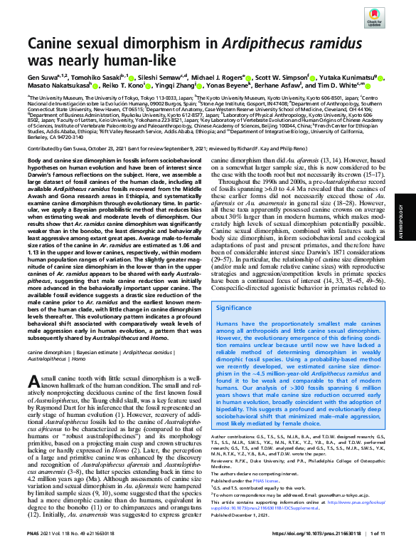 (PDF) Canine sexual dimorphism in Ardipithecus ramidus was nearly human ...