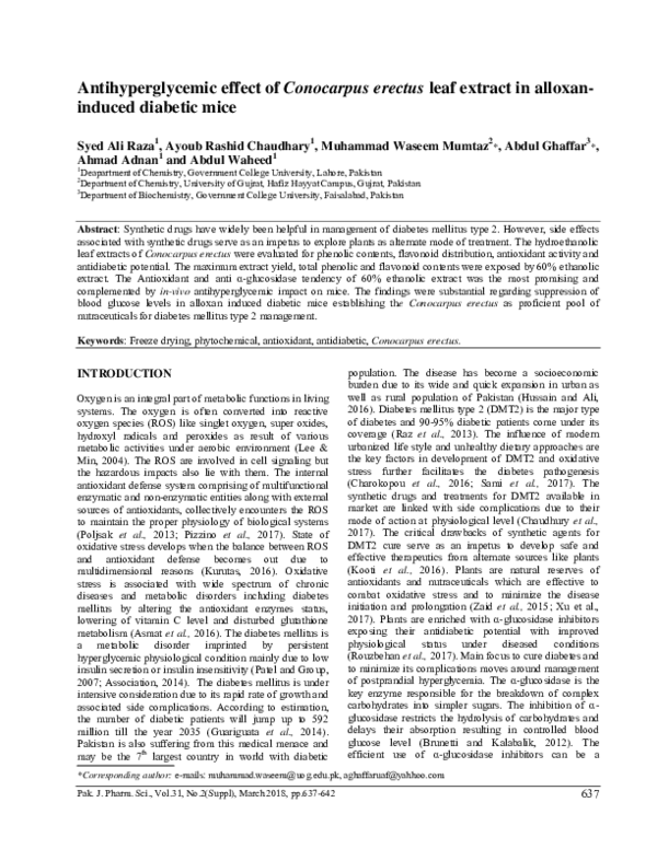 (PDF) Conocarpus erectus Leaf Extract Reduces Blood Sugar