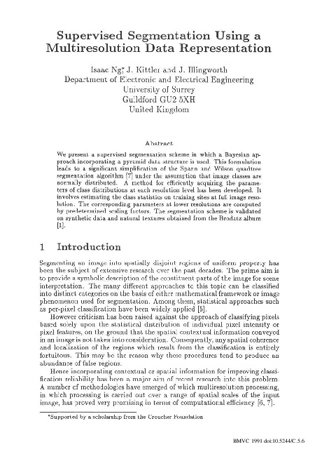 Pdf Supervised Segmentation Using A Multiresolution Data Representation Isaac Ng