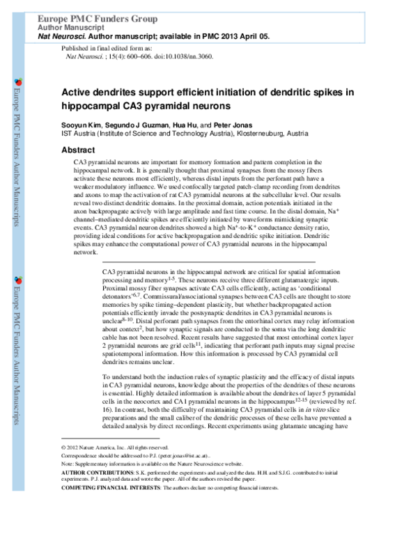 Pdf Active Dendrites Support Efficient Initiation Of Dendritic Spikes