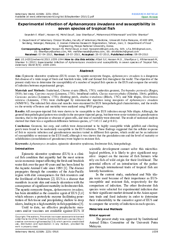 (PDF) Experimental infection of Aphanomyces invadans and susceptibility ...