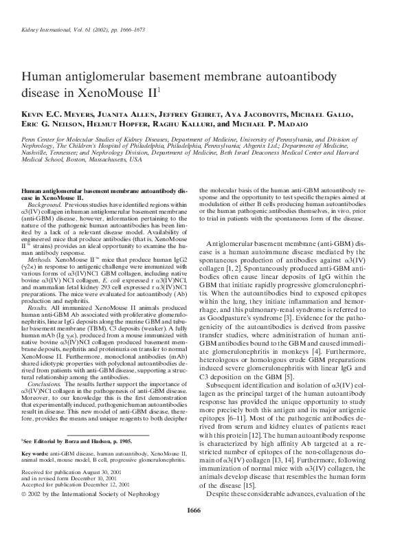 (PDF) Human antiglomerular basement membrane autoantibody disease in ...