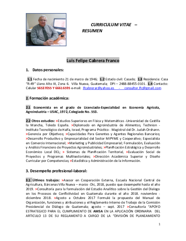 (DOC) CURRICULUM VITAE -RESUMEN