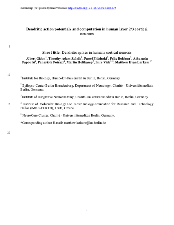 Pdf Dendritic Action Potentials And Computation In Human Layer 23