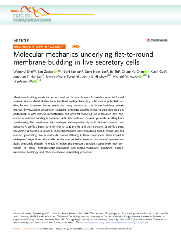 (PDF) Molecular mechanics underlying flat-to-round membrane budding in live secretory cells ...