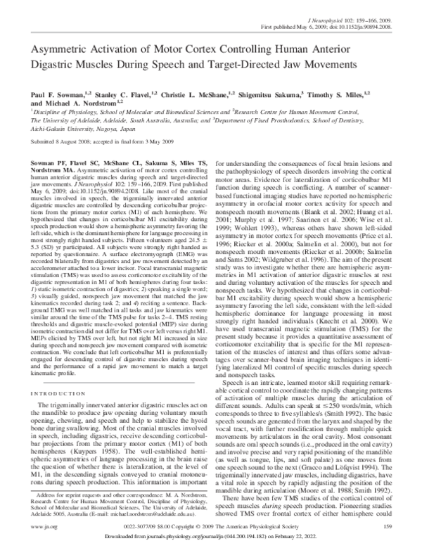 (PDF) Asymmetric Activation of Motor Cortex Controlling Human Anterior ...