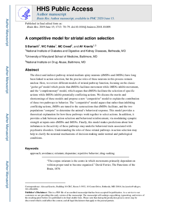 (PDF) A competitive model for striatal action selection