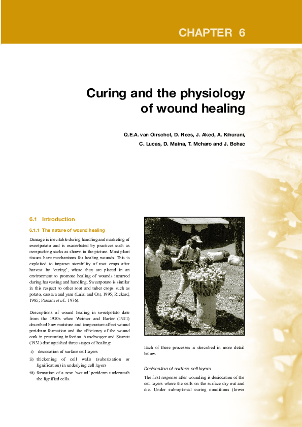 (PDF) Curing and the physiology of wound healing