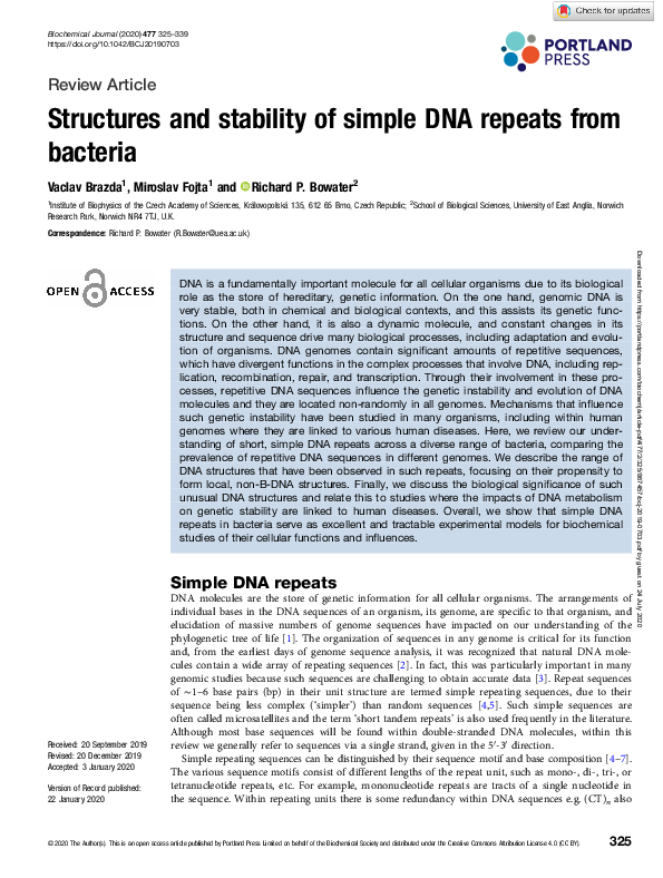 (PDF) Structures and stability of simple DNA repeats from bacteria