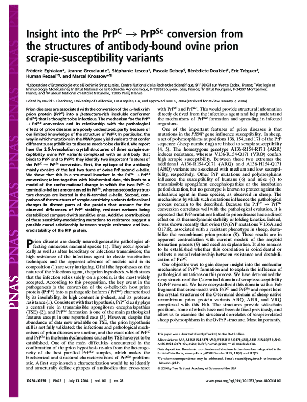 Pdf Insight Into The Prp C → Prp Sc Conversion From The Structures Of