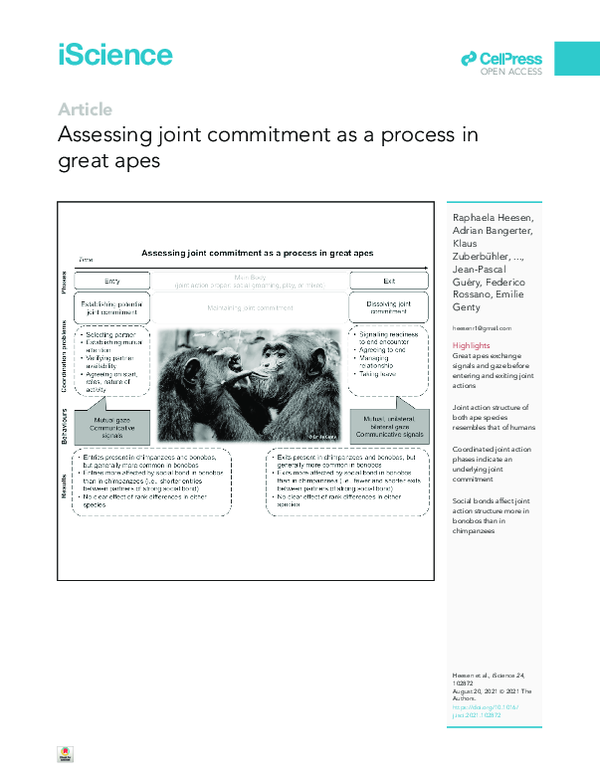 (PDF) Assessing joint commitment as a process in great apes | Federico ...