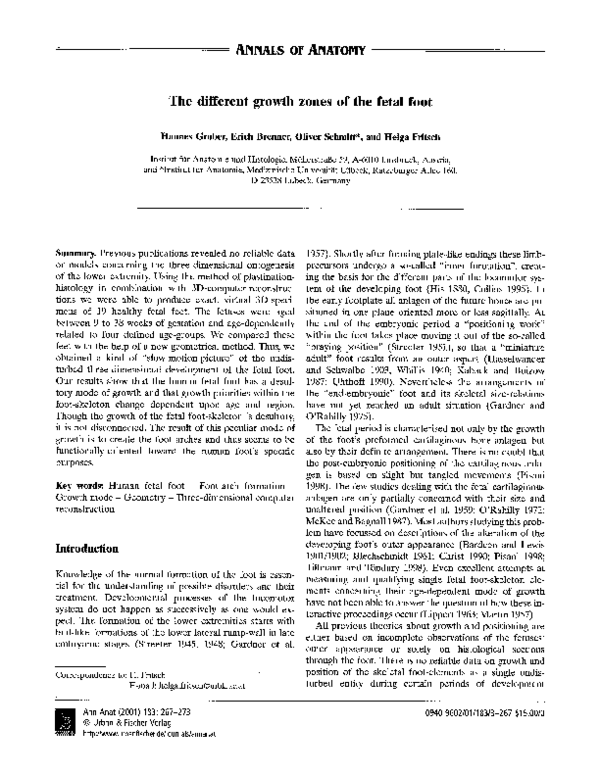 (PDF) The different growth zones of the fetal foot