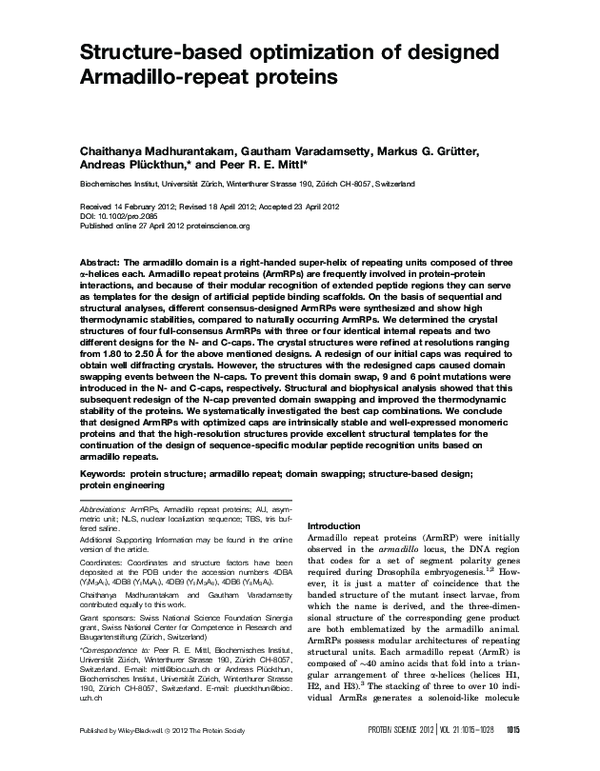 (PDF) Structure-based optimization of designed Armadillo-repeat proteins