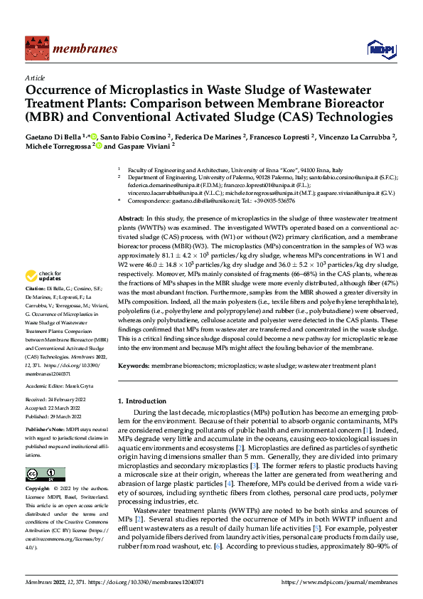 Occurrence of Microplastics in Waste Sludge of Wastewater Treatment ...