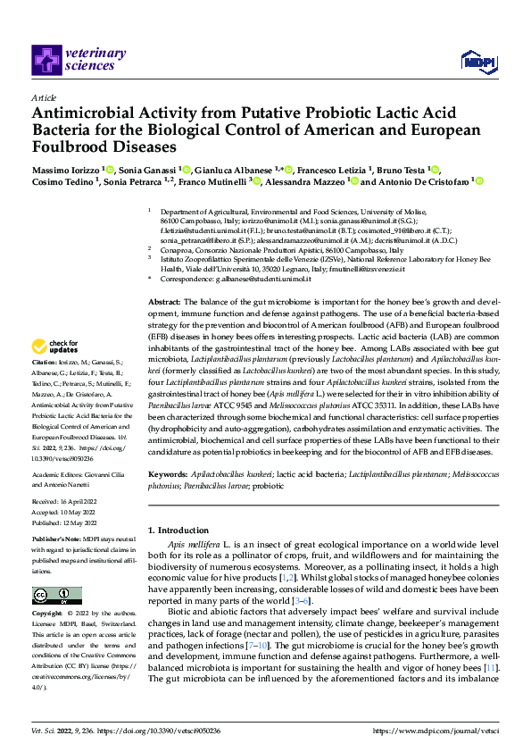 (PDF) Antimicrobial Activity from Putative Probiotic Lactic Acid Bacteria for the Biological ...