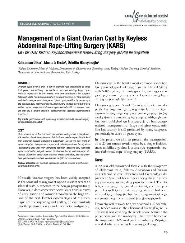 (PDF) Management of a giant ovarian cyst by keyless abdominal rope ...