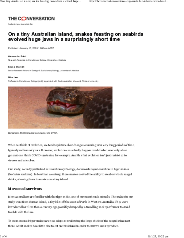 (PDF) On a tiny Australian island, snakes feasting on seabirds evolved ...