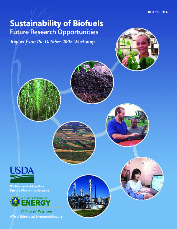 (PDF) Sustainability of biofuels