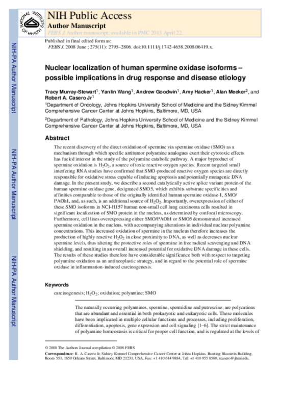 (PDF) Nuclear localization of human spermine oxidase isoforms ...