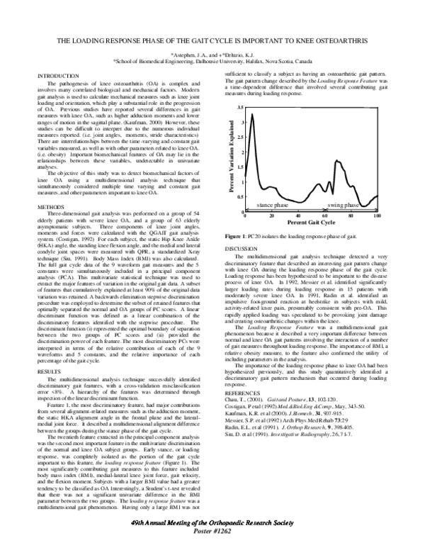 (PDF) The Loading Response Phase of the Gait Cycle is Important to Knee ...