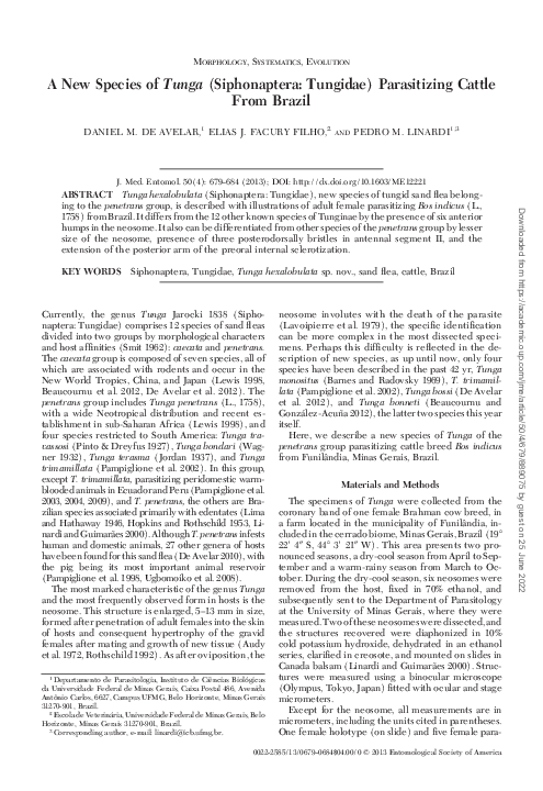 (PDF) A New Species of Tunga (Siphonaptera: Tungidae) Parasitizing ...