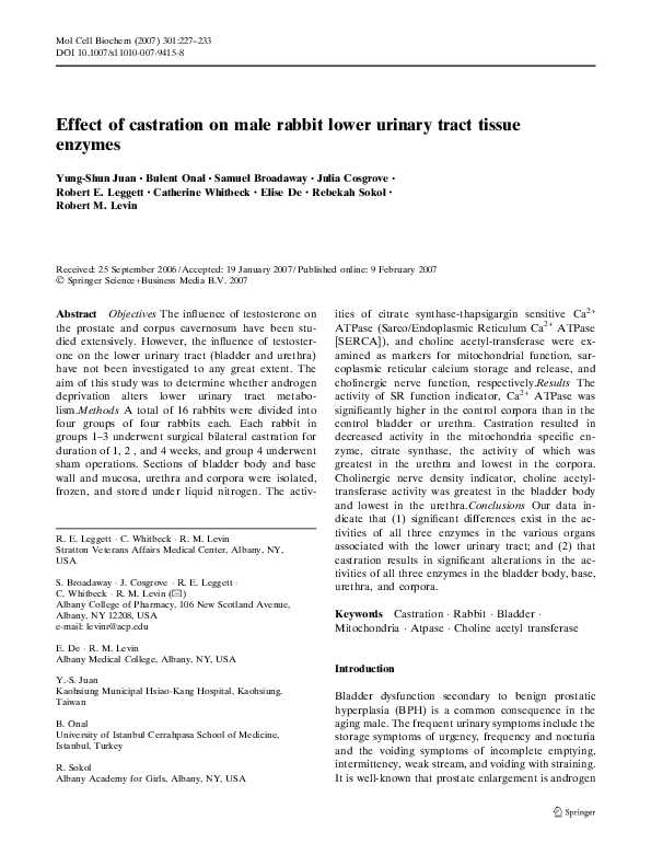 (PDF) Effect of castration on male rabbit lower urinary tract tissue ...