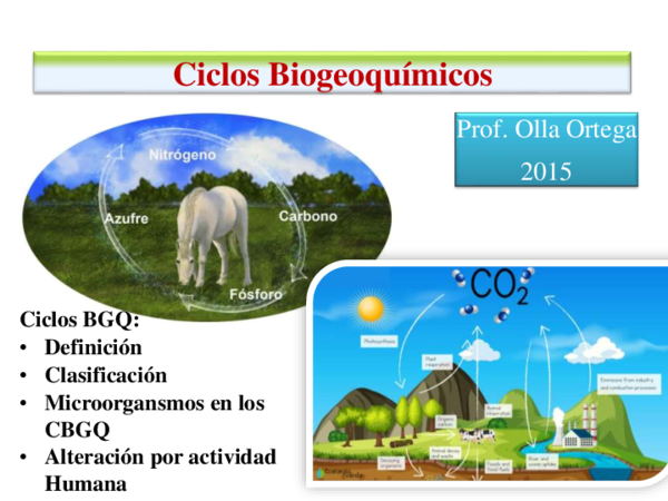 (PDF) Ciclos Biogeoquimicos