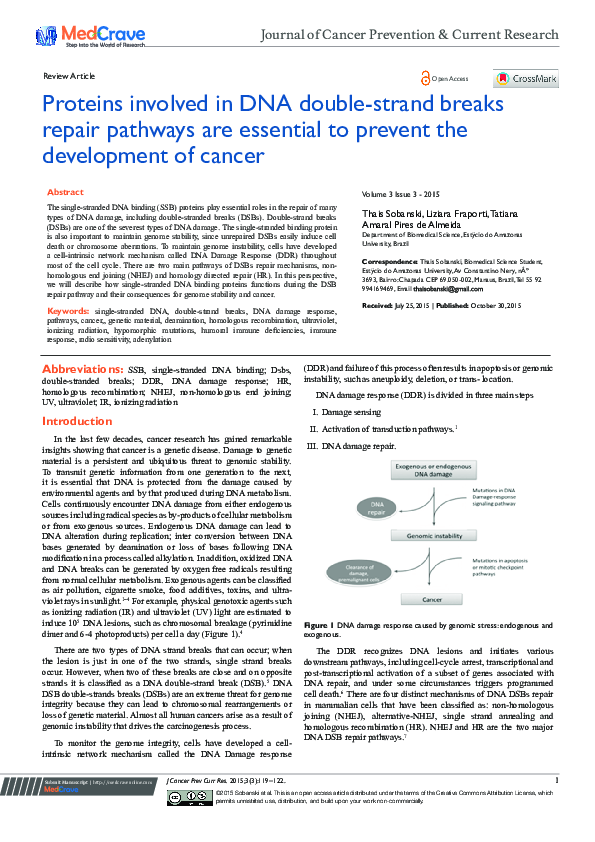 (PDF) Proteins Involved in DNA Double-Strand Breaks Repair Pathways Are Essential to Prevent the ...