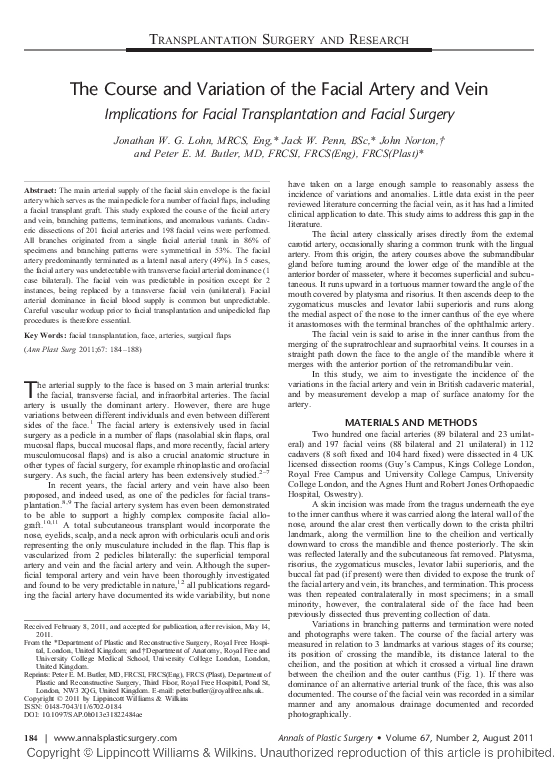 (PDF) The Course and Variation of the Facial Artery and Vein