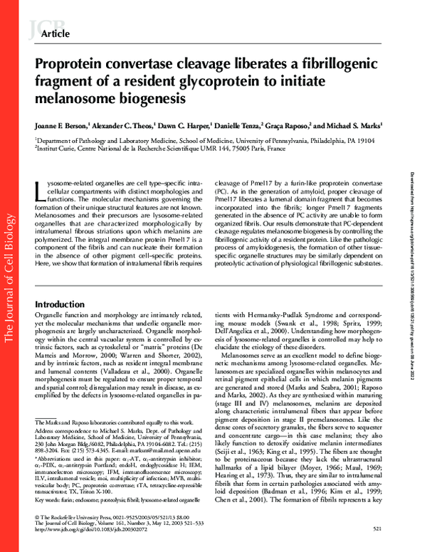 (PDF) Proprotein convertase cleavage liberates a fibrillogenic fragment ...
