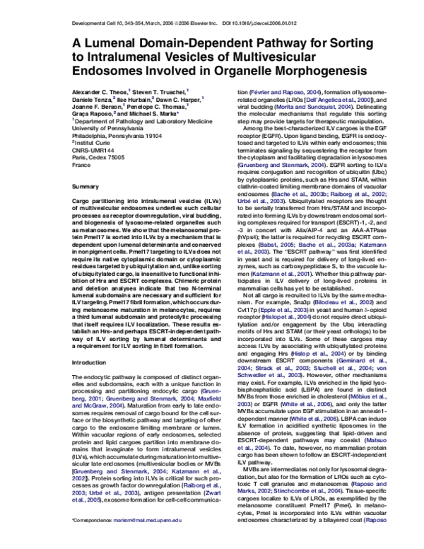 (PDF) A Lumenal Domain-Dependent Pathway for Sorting to Intralumenal ...